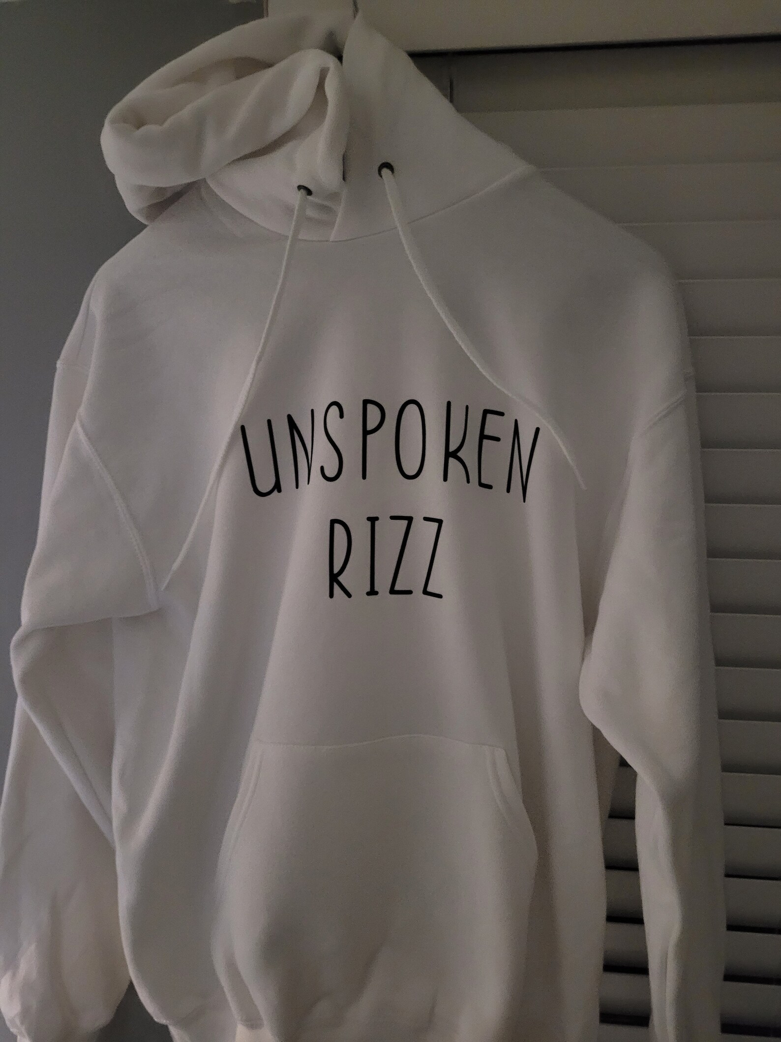 Unspoken Rizz Meme Hoodie - Etsy Canada