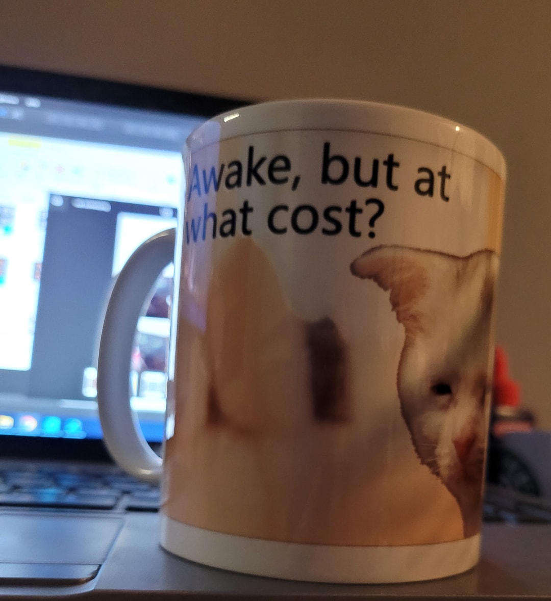 Cat Meme Mug - Awake, but at What Cost - Etsy