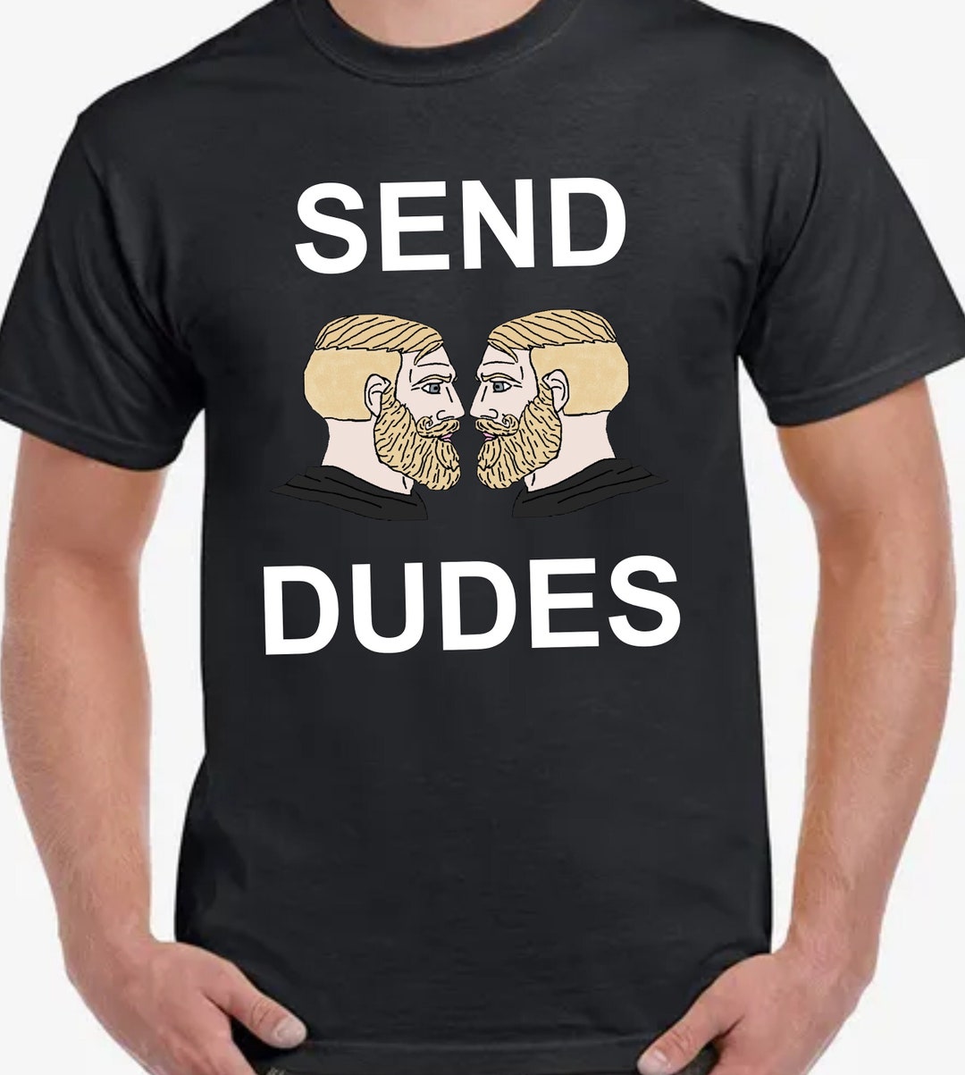 Send Dudes Meme T-shirt - Etsy