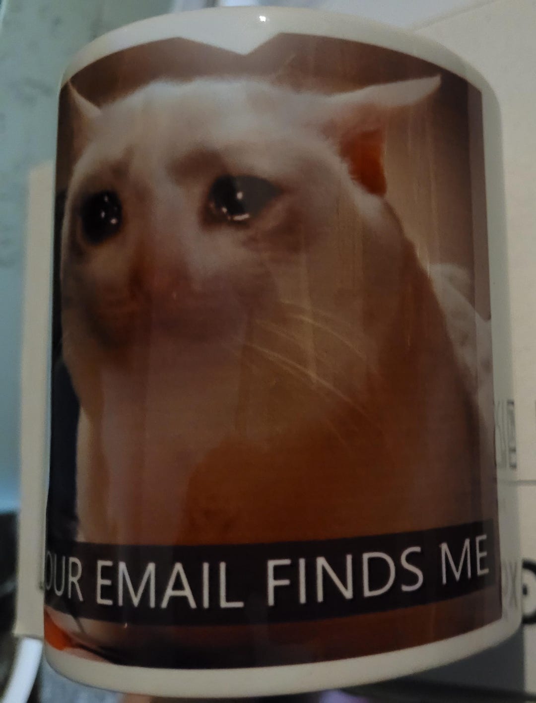 Crying Cat Meme Mug - How Your Email Finds Me - Etsy