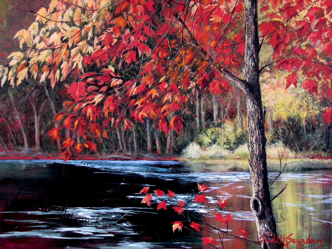 Fall Colors With Stream, Autumn Colours, Wild Nature With Autumn Leaves ...