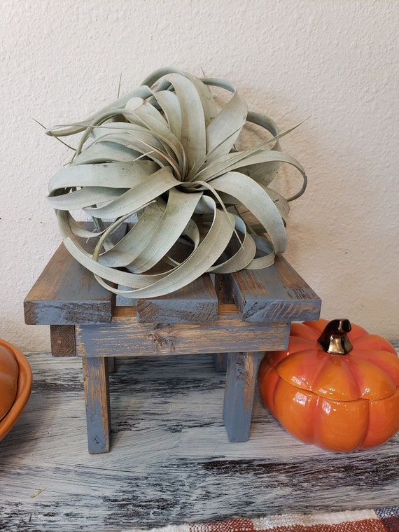 Handmade Rustic Plant Stand Indoor or Outdoor. - Etsy