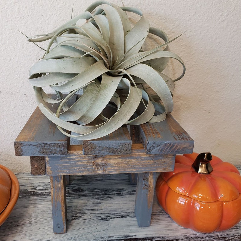 Rustic Plant Stand - Etsy