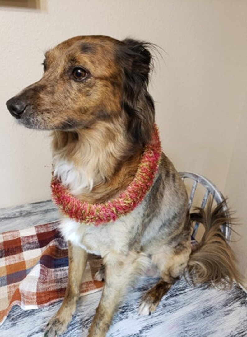 Hawaiian Dog Lei - Etsy