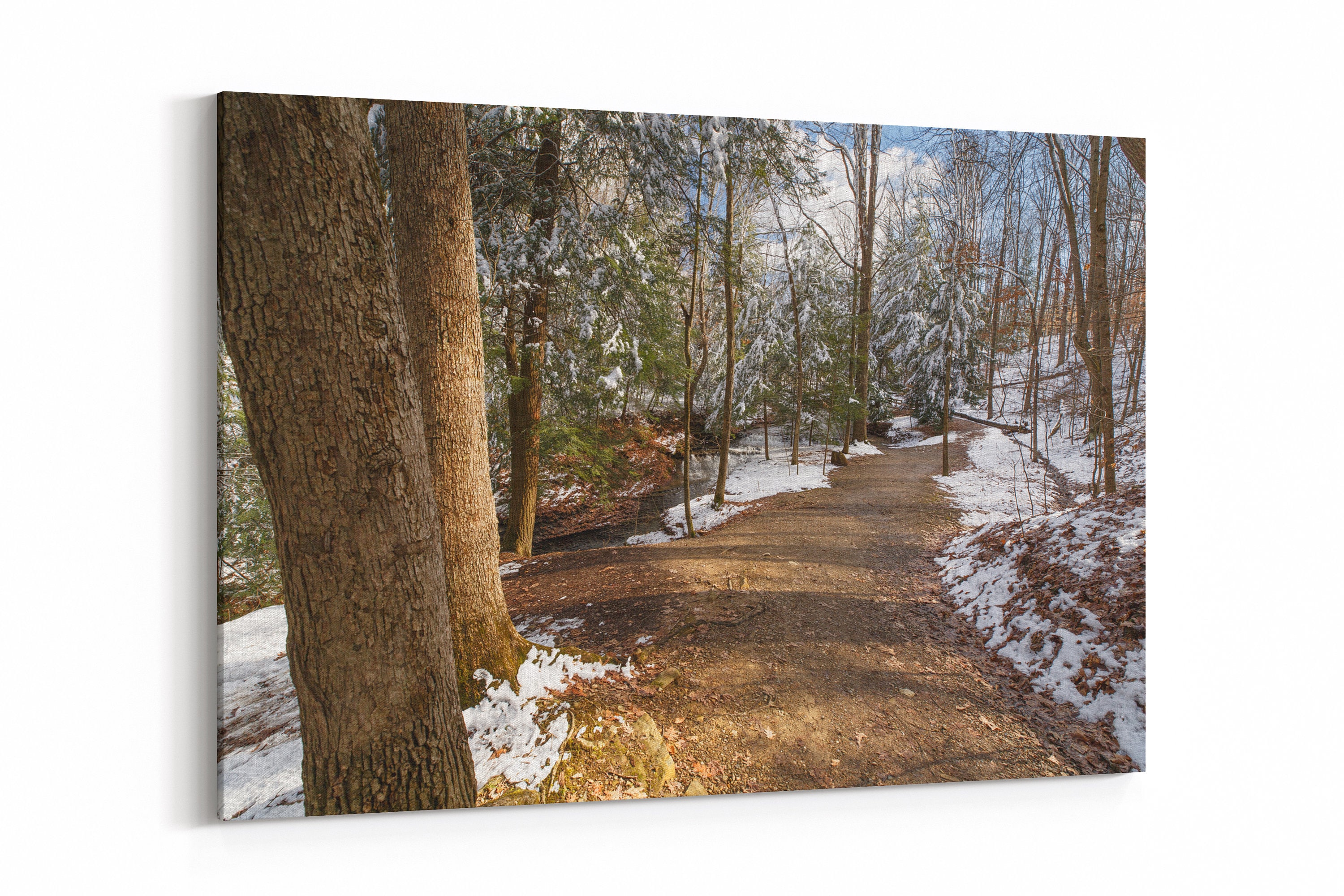 Trail Print | Wall Art | Photography | Wall Decor | Prints | Canvas ...