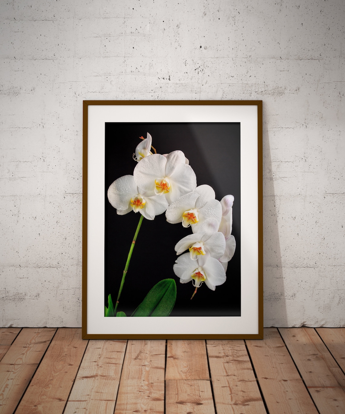 White Orchid Flower Print | Wall Art | Photography | Wall Decor ...