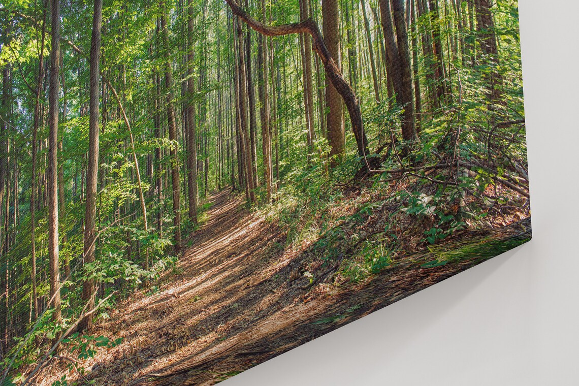 Forest Print | Wall Art | Photography | Wall Decor | Prints | Canvas ...