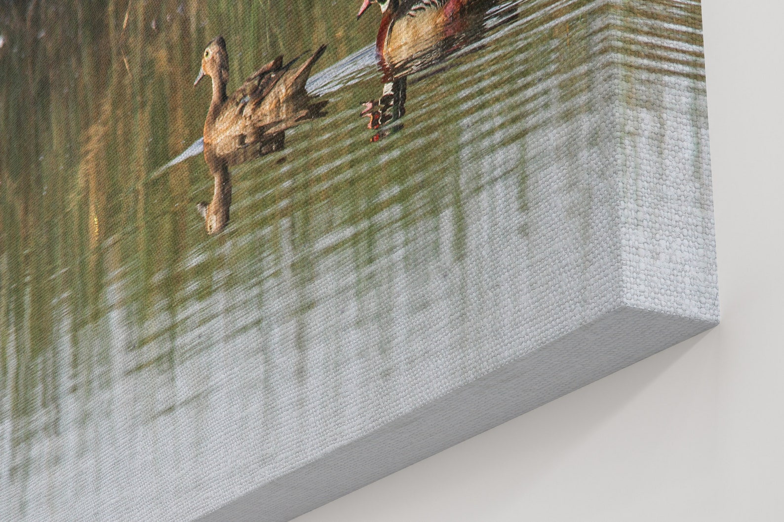 Ducks Print | Wall Art | Photography | Wall Decor | Prints | Canvas ...