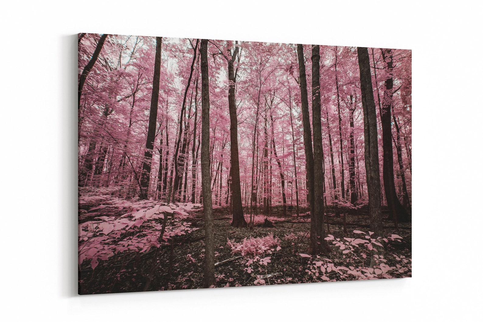 Pink Trees Print | Wall Art | Photography | Wall Decor | Prints ...