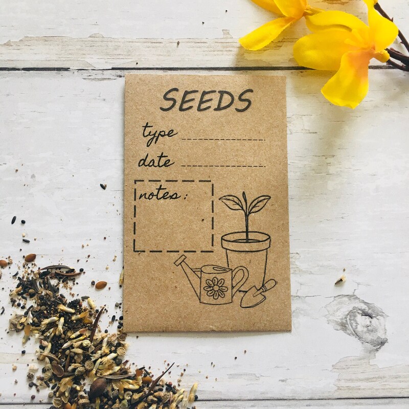 Seed Envelopes - Etsy