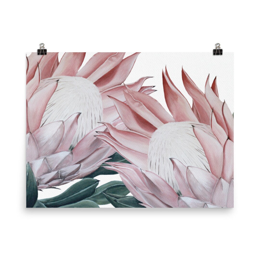 Pink Protea Art Print. Scandi Style Protea Wall Art. Acrylic Painting ...