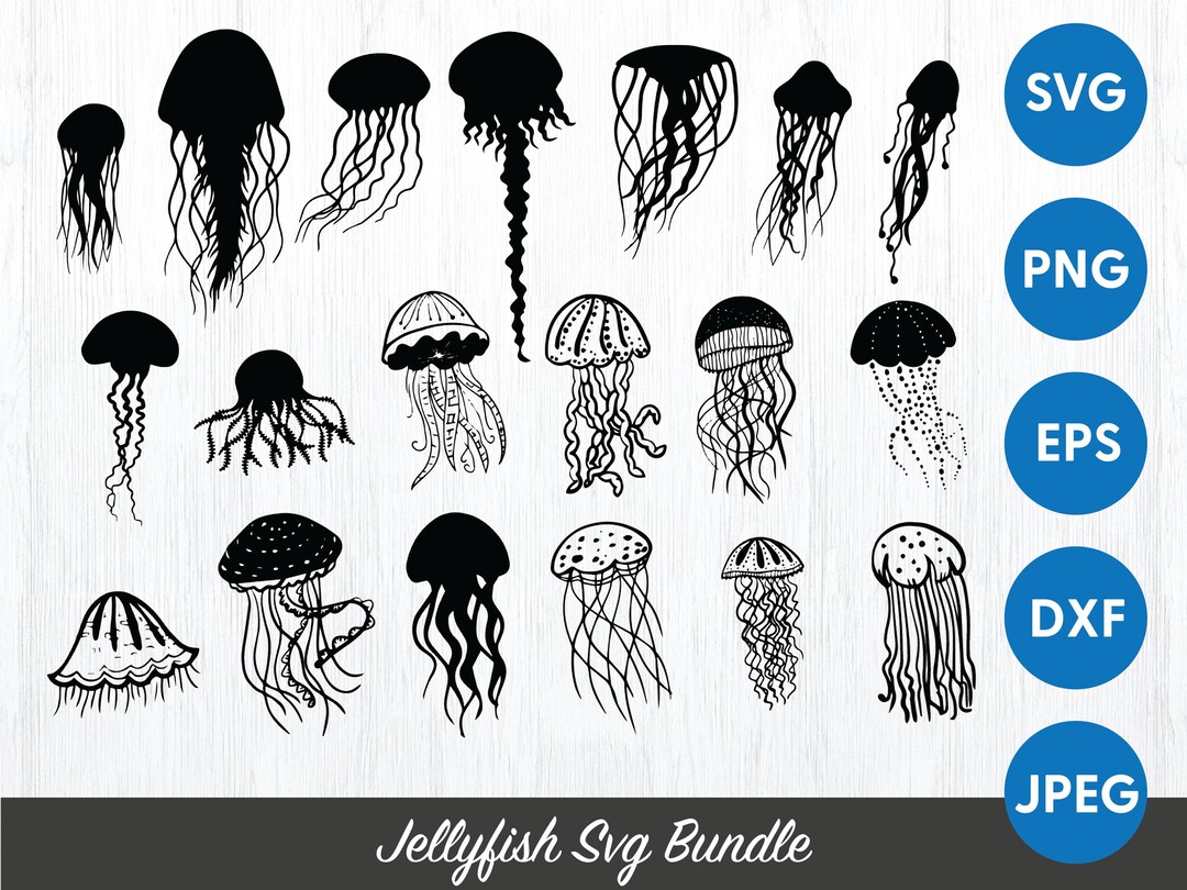 Jellyfish Clipart, Jellyfish Image, Ocean Clipart, Sea Life Svg, Sea ...