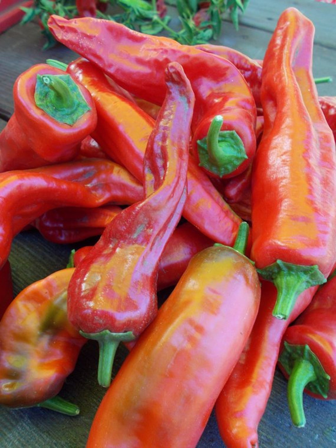 Georgia Flame Pepper Seeds - Etsy