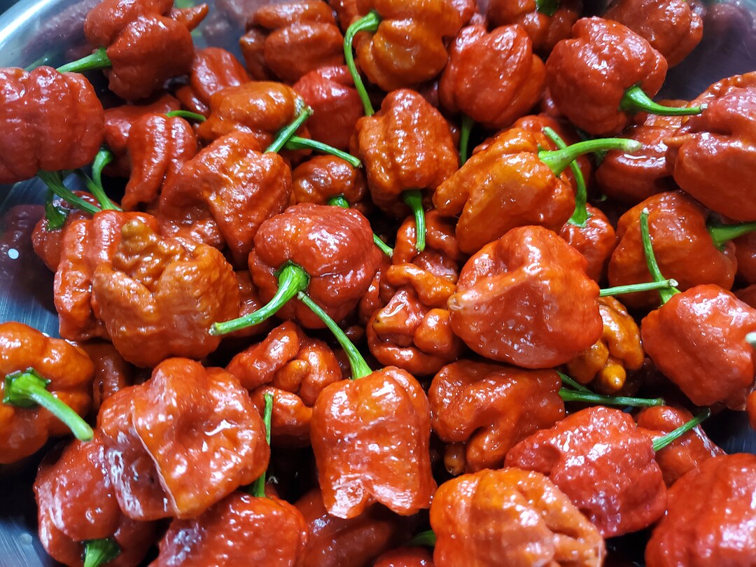 Caramel Reaper Pepper Seeds - Etsy