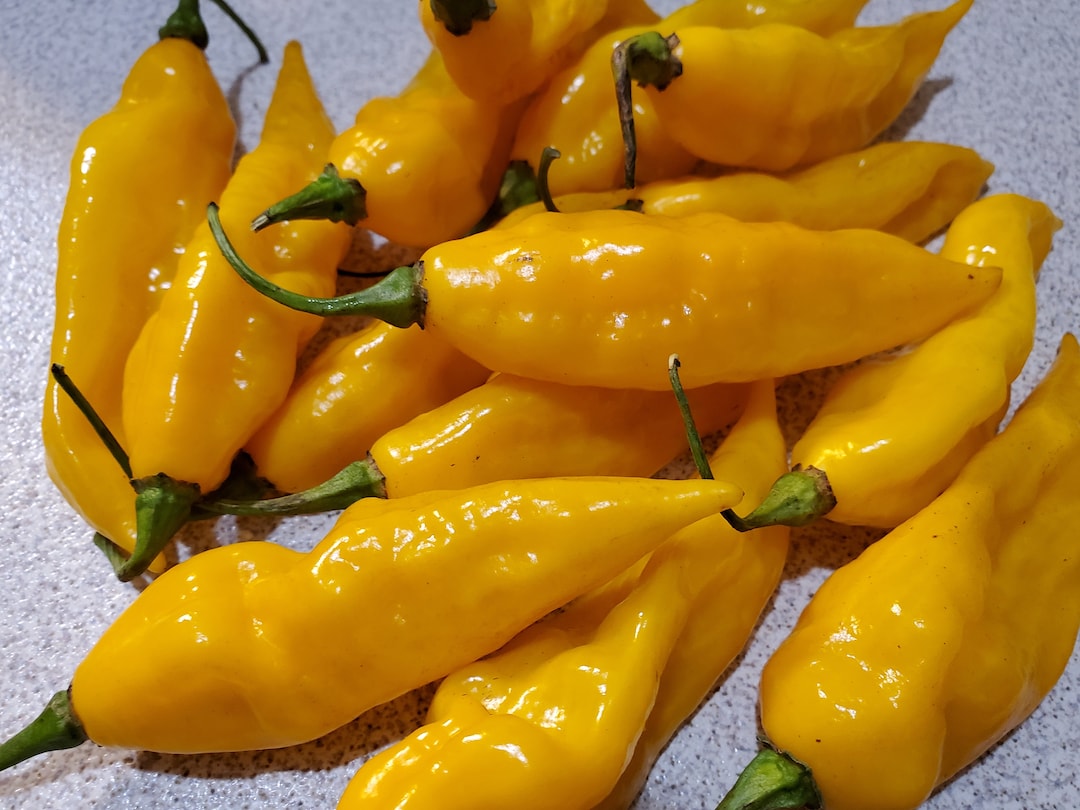 Naga Lemon Pepper Seeds - Etsy