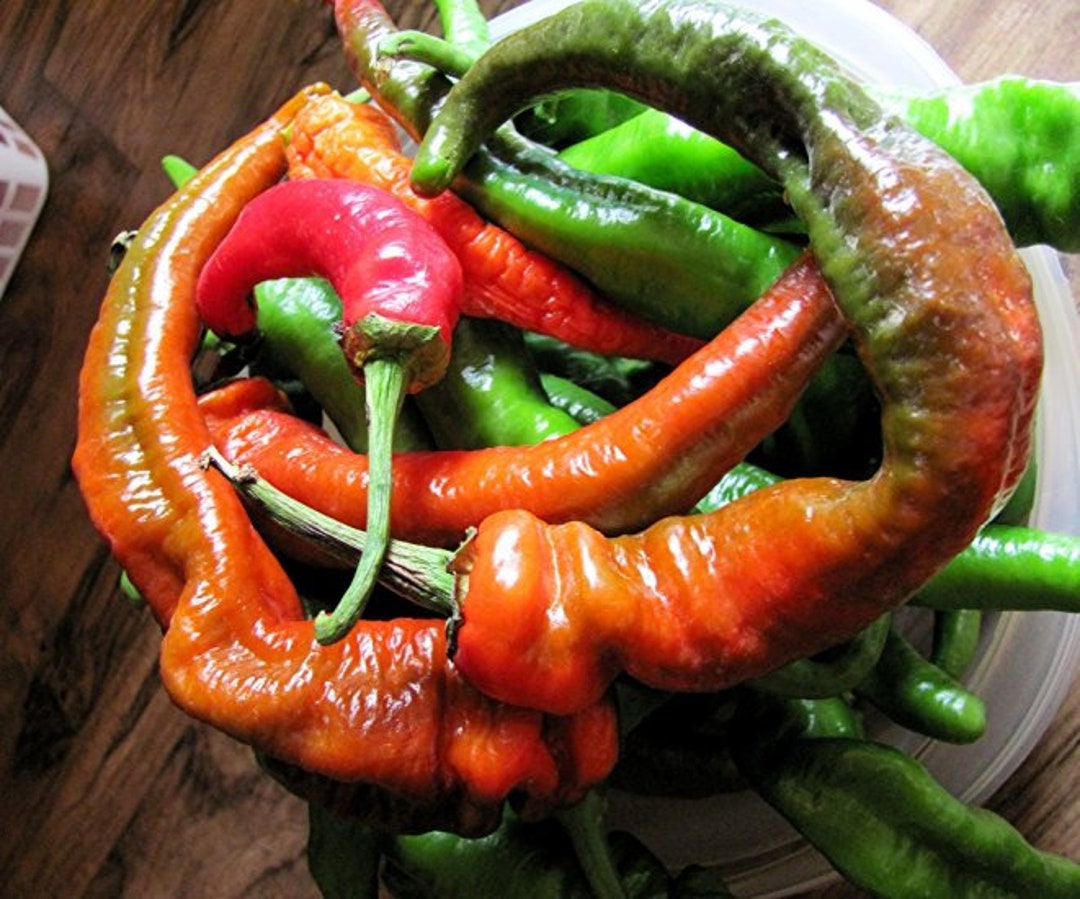 Cowhorn Pepper Seeds - Etsy