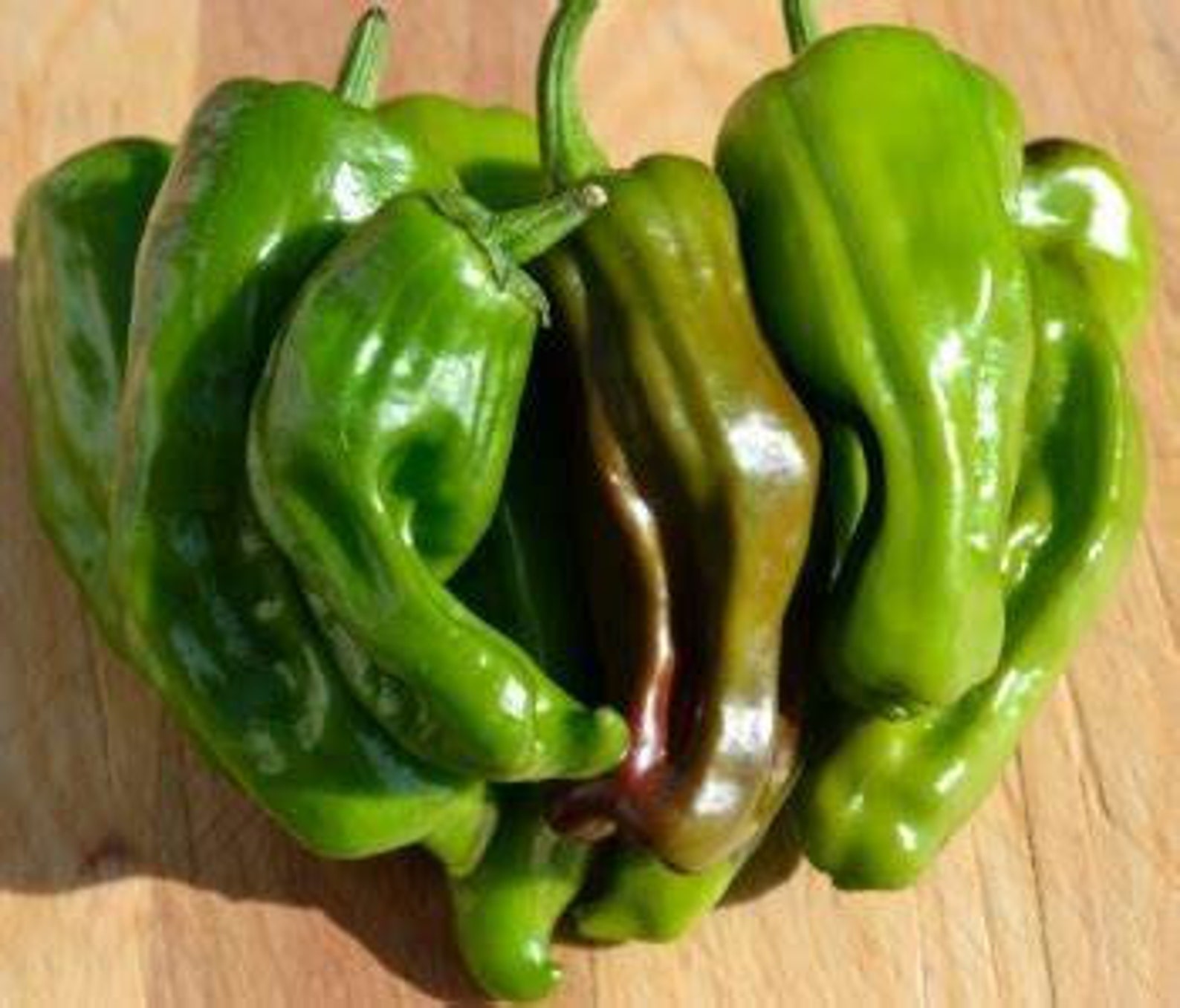 Greek Pepperoncini Pepper Seeds | Etsy