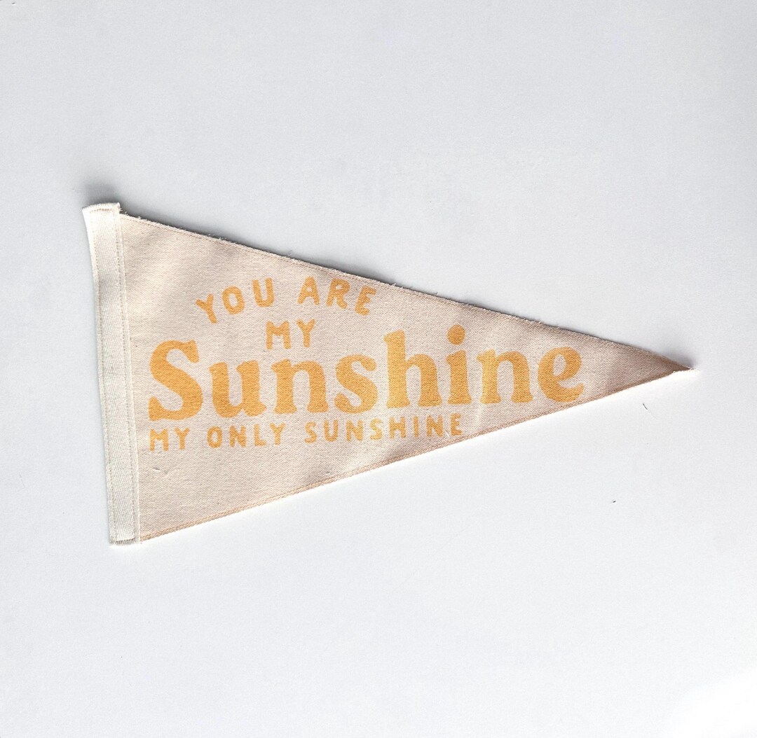 You Are My Sunshine Pennant Flag - Etsy