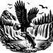 4 Bald Eagle Catching Fish SVG | Waterfall Fishing Cut File PNG DXF - Etsy