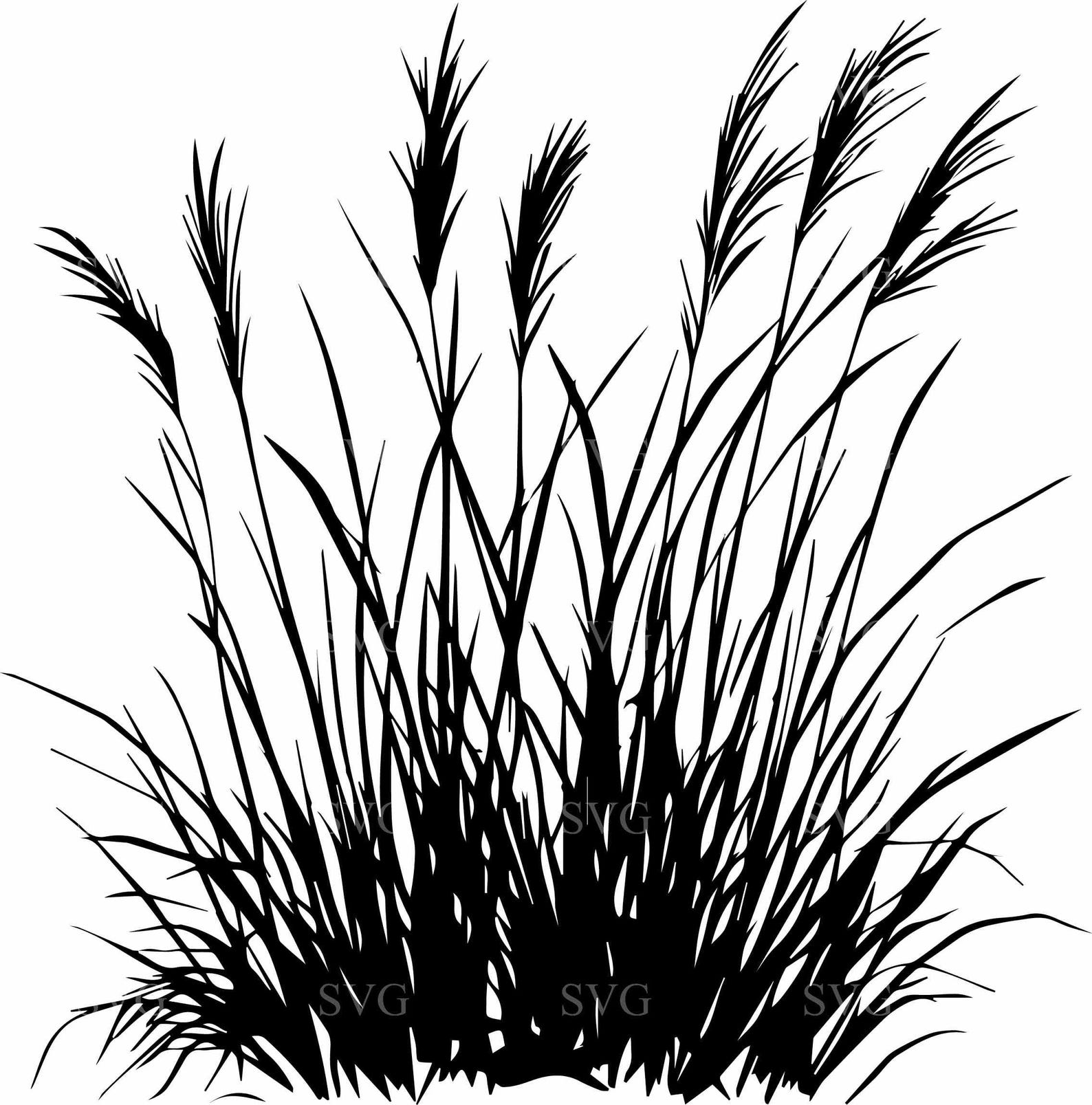 6 Tall Wild Grass Silhouette SVG | Southern Prairie Grass PNG DXF - Etsy