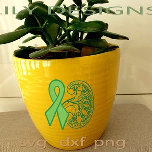 Green Ribbon Kidney Disease Svg Organ Donor World Kidney Day Transplant ...