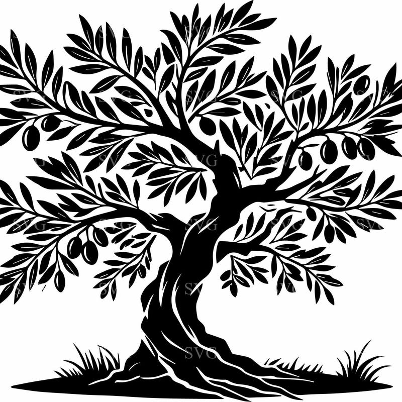Olive Tree - Etsy