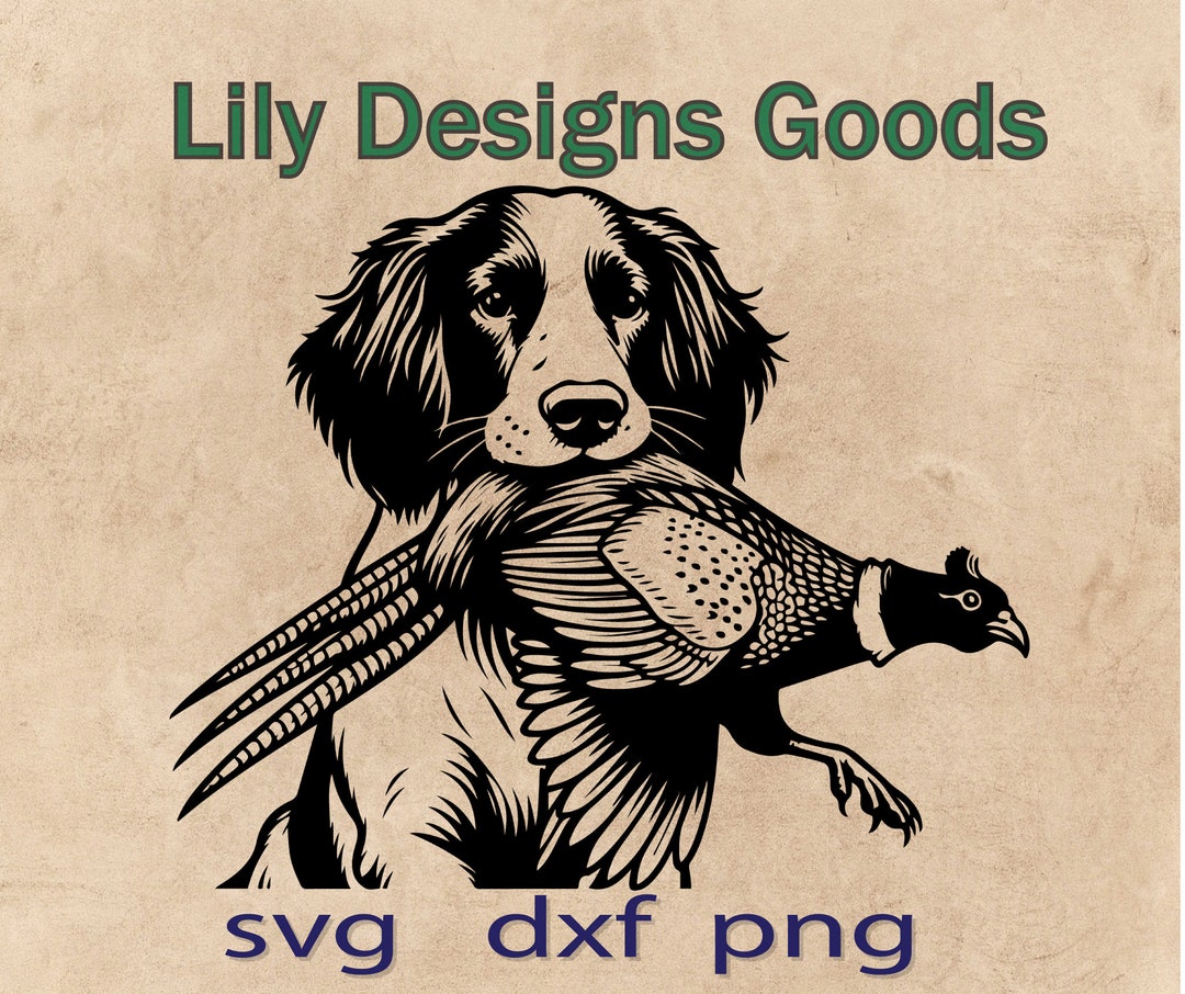 English Springer Spaniel Svg Pheasant Hunter PNG DXF Bird Dog Hunting ...