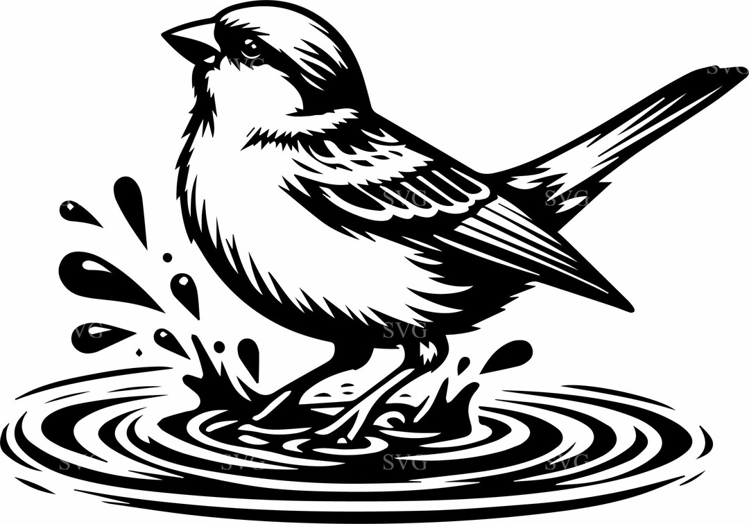 Sparrow in Water SVG | 4 Bird Splashing Clipart for Cricut, Silhouette ...