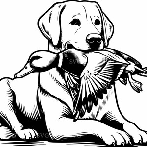 Labrador Retriever With Duck SVG 3 Cut File - Hunting Dog Clipart for ...