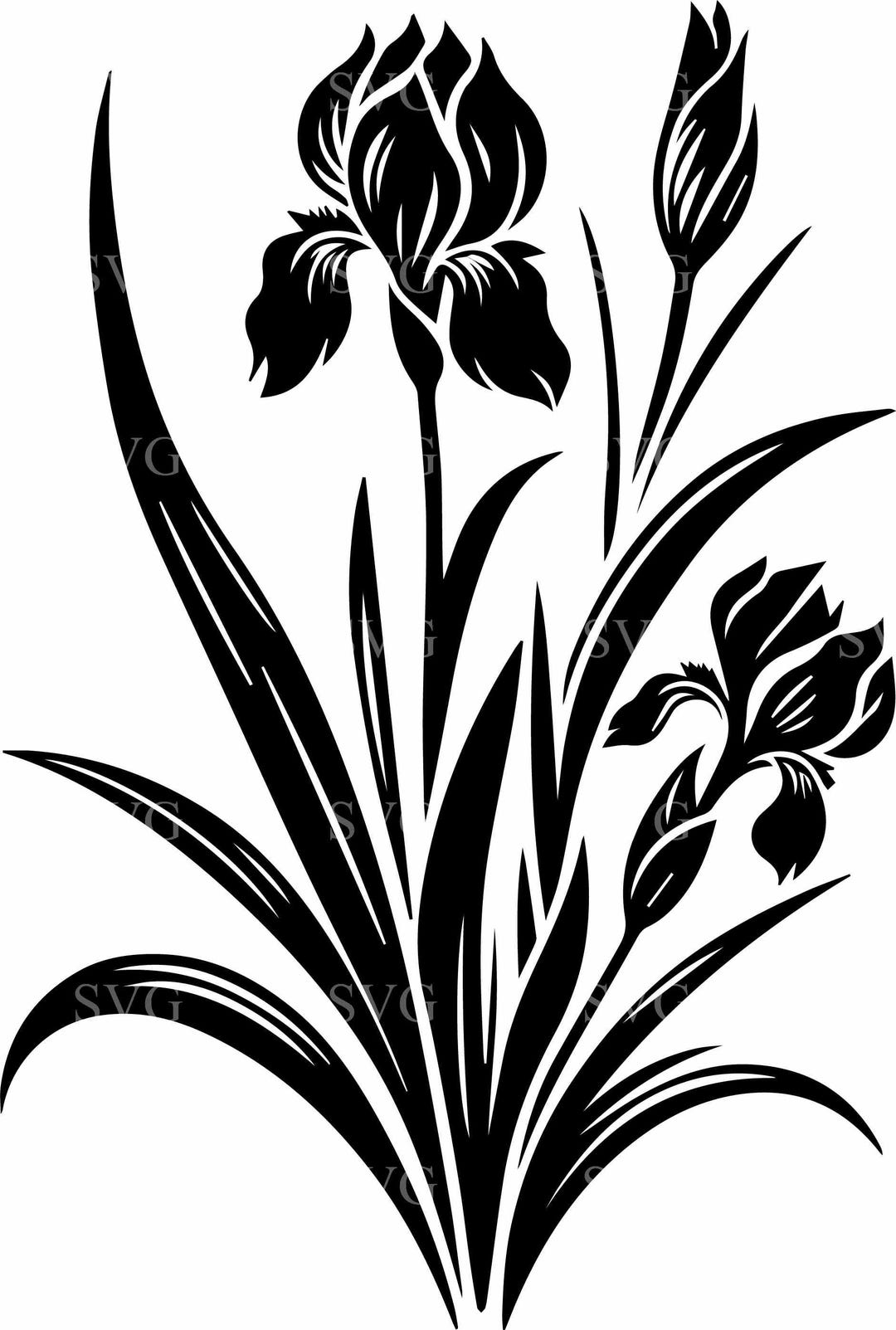 4 Iris Flower SVG 4 Cut File, Botanical Floral Silhouette PNG, Elegant ...