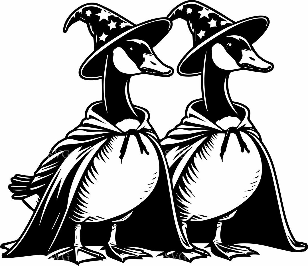 6 Wizard Goose SVG Clipart – 6 Magical Goose Duo PNG for Cricut, Funny ...