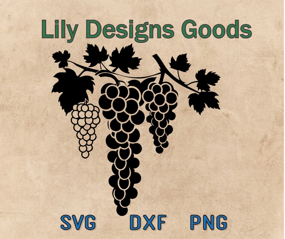 Wine Grapevine SVG, PNG, DXF Vine Monogram Border Clipart Cricut Wine ...