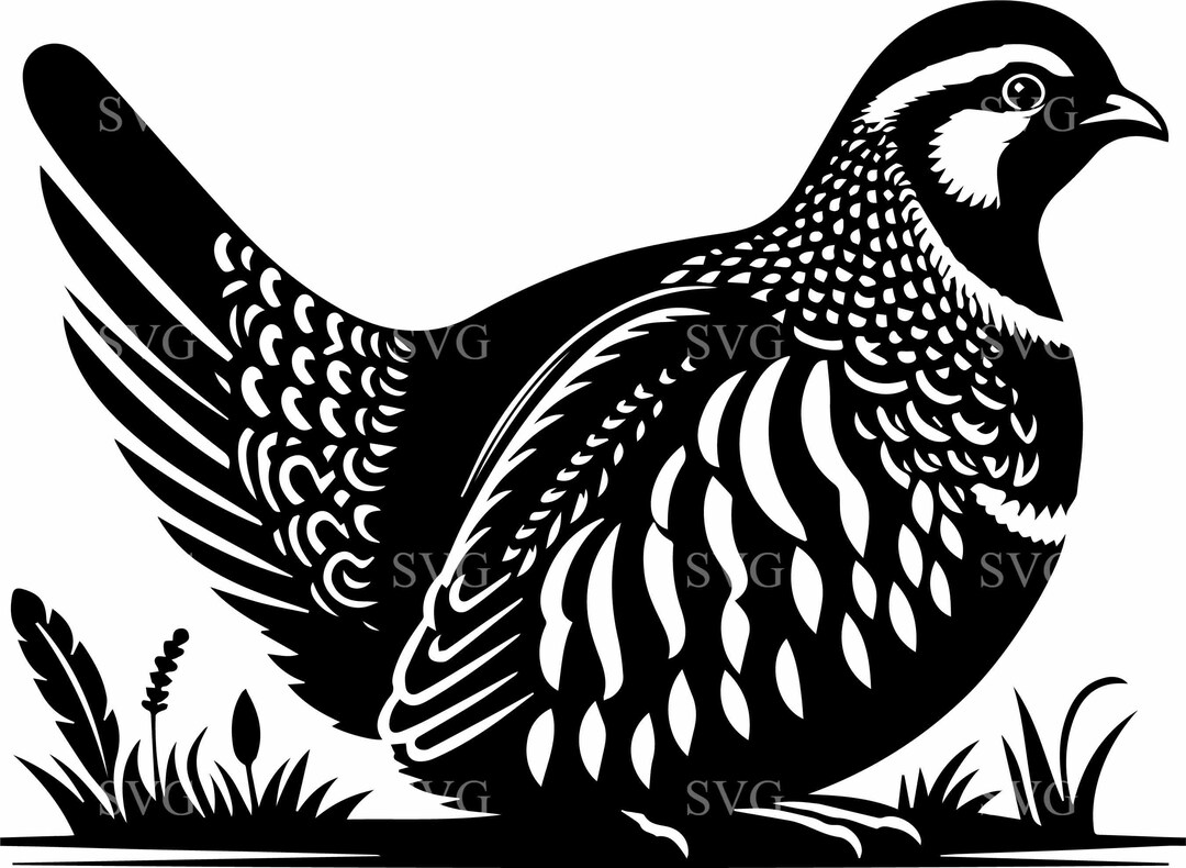 Quail SVG 5 Cut File Detailed Quail in Grass Wildlife Bird Clipart for ...