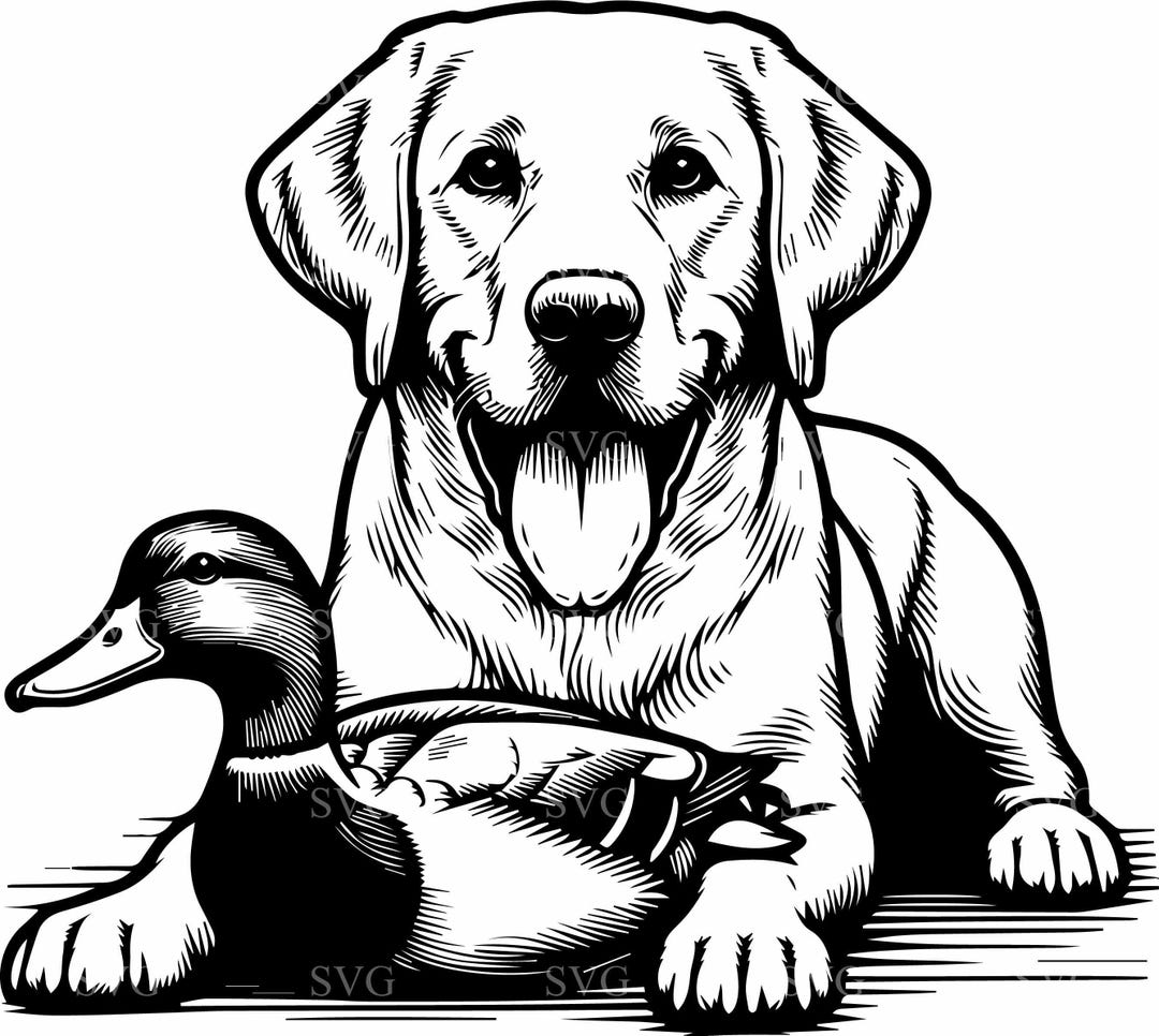 Labrador Retriever With Duck SVG 3 Cut File - Hunting Dog Clipart for ...