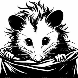 Curious Opossum SVG 4 Cut File, Adorable Opossum Peeking Out of Bag ...