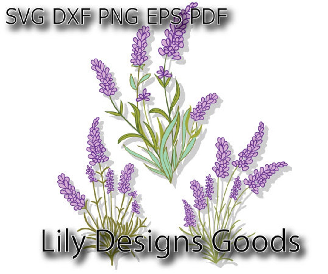 French Lavender Svg, Lavender Bunch Svg, Lavender Svg, Wildflower Svg ...