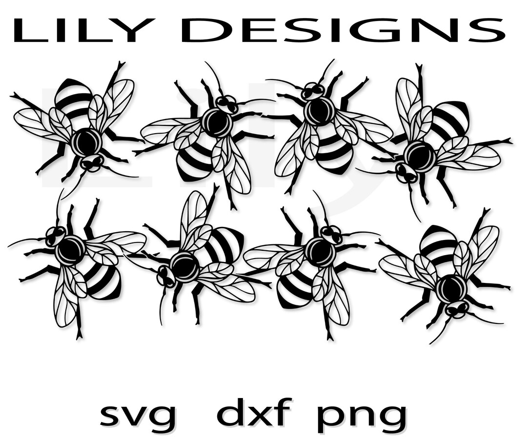 Bee Svg Honey Pot Svg Popular Queen PNG - Etsy