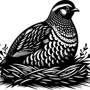 Quail SVG 5 Cut File Detailed Quail in Grass Wildlife Bird Clipart for ...