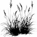 6 Tall Wild Grass Silhouette SVG | Southern Prairie Grass PNG DXF - Etsy