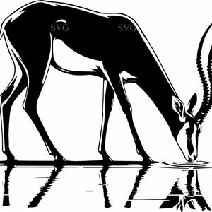 4 Elegant Antelope SVG Cut File - Wildlife Reflection at Water ...