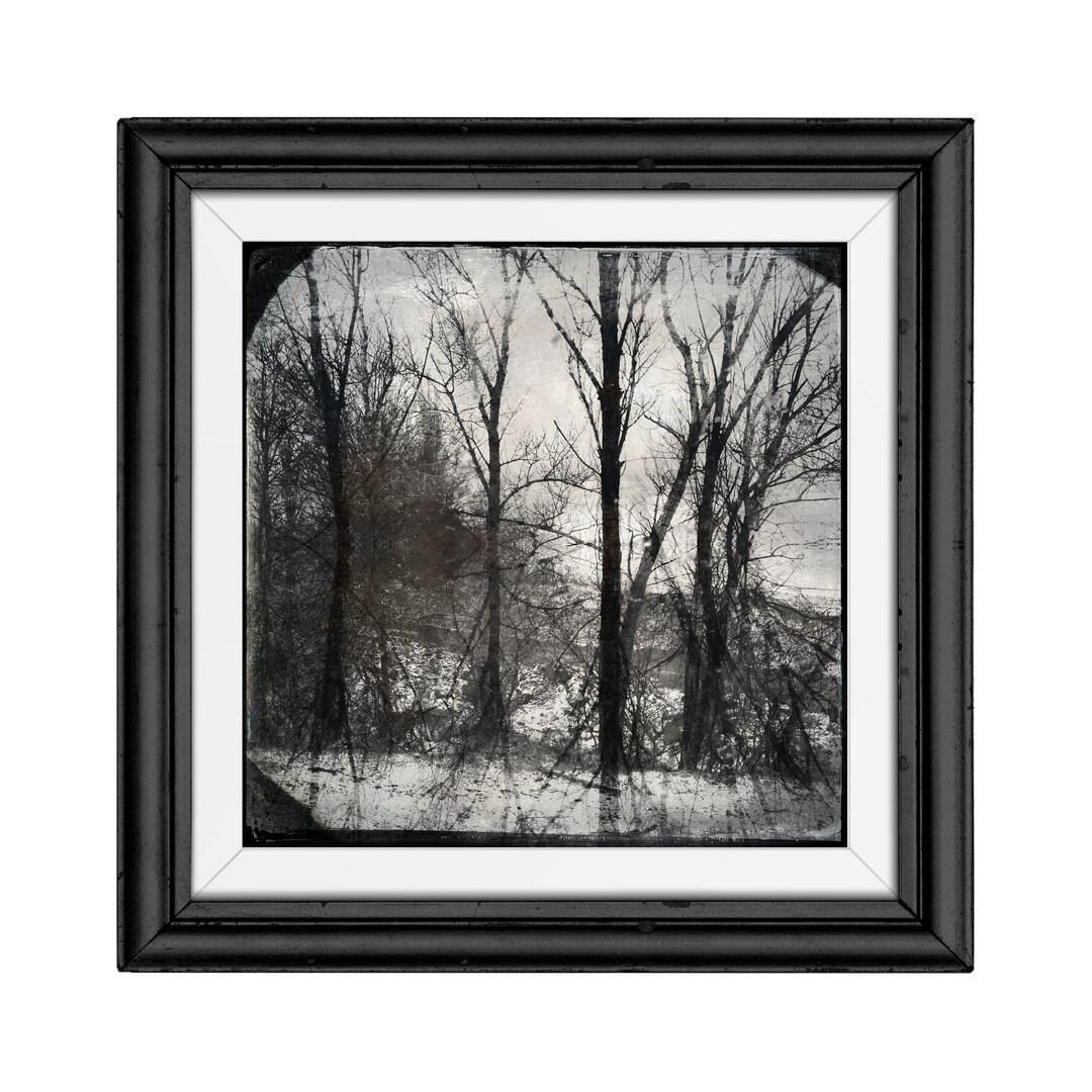 Multiple Exposured Freaky Trees Scene Digital Photo Printable - Etsy