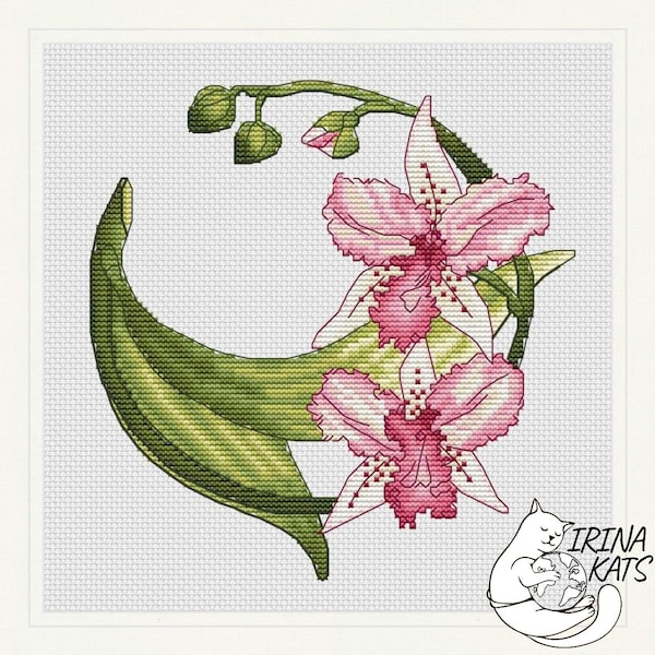 Orchid Pattern - Etsy