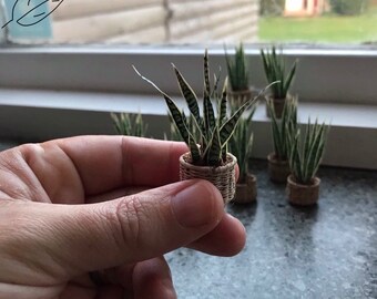 Miniature plants | Etsy