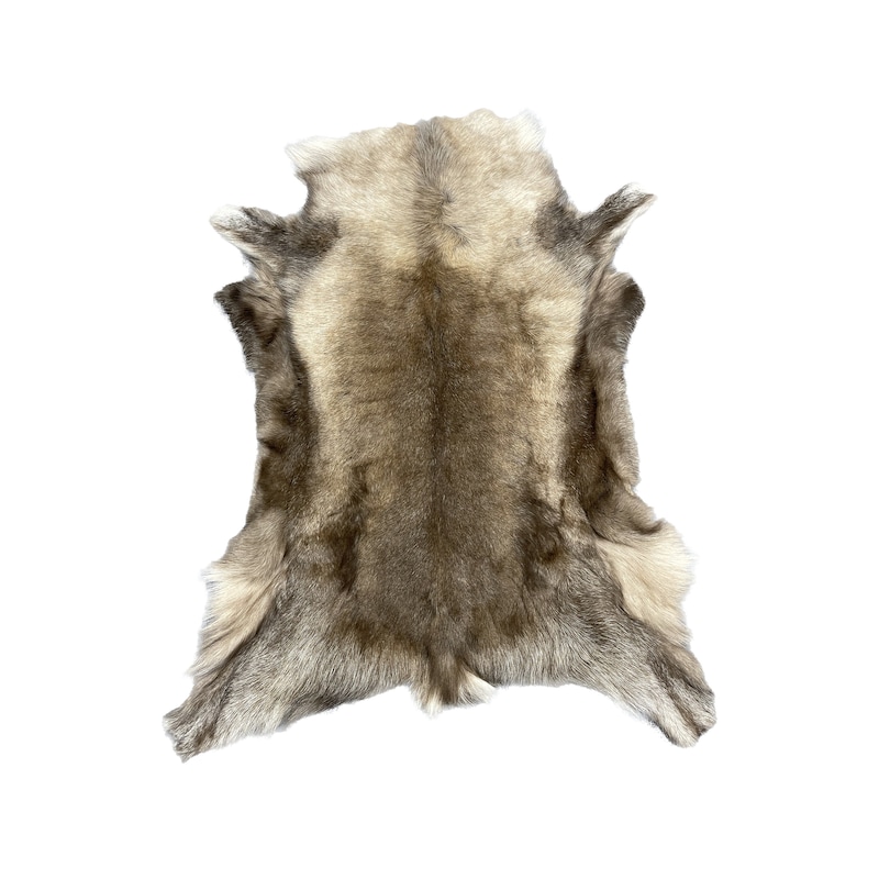 Wolf Skin Rug - Etsy