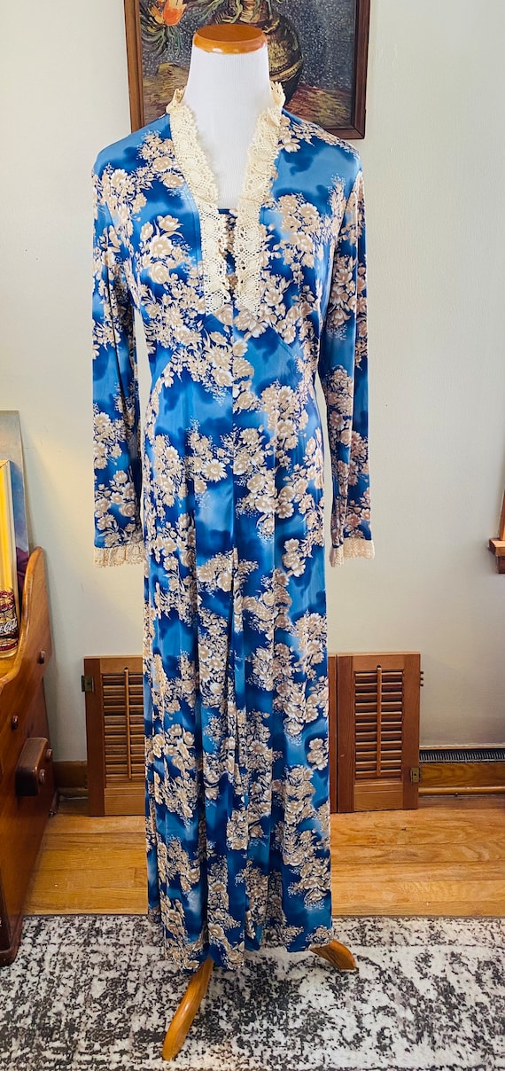 Vintage 70’s Maxi Dress, Victorian Inspired Lace Neck… - Gem