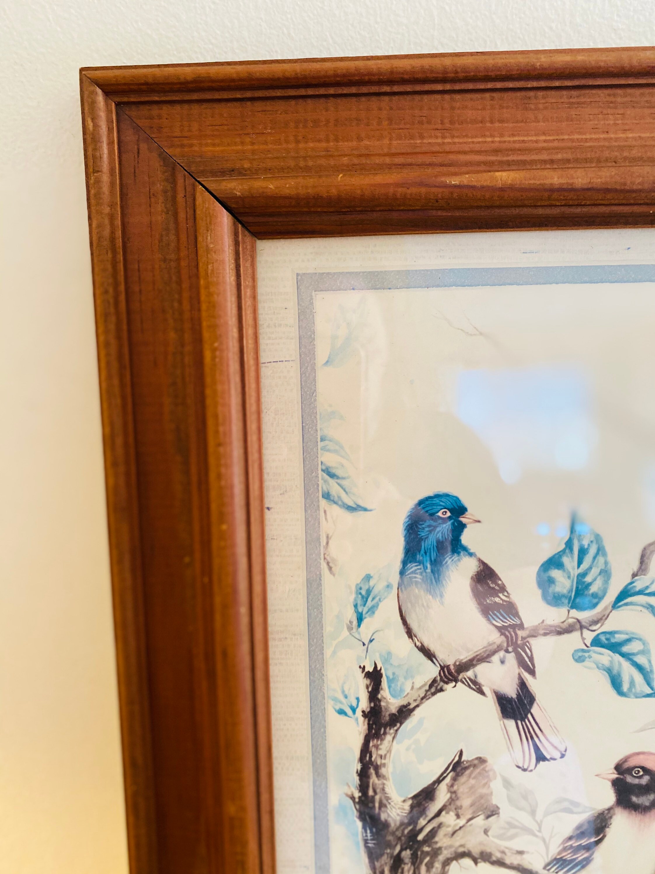 Vintage Framed Bluebird Print Bluebirds in Tree | Etsy