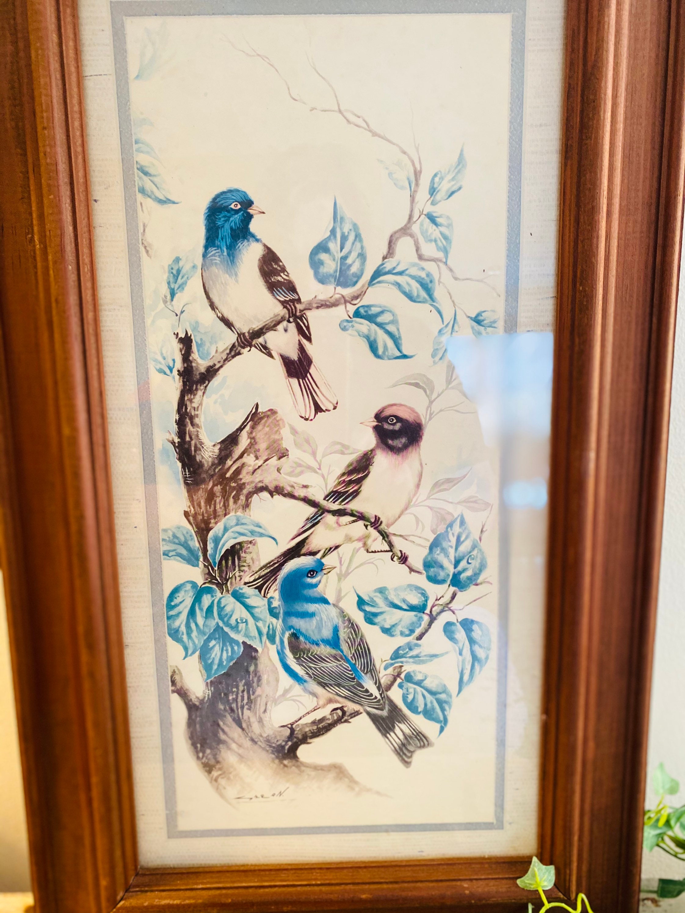 Vintage Framed Bluebird Print Bluebirds in Tree | Etsy