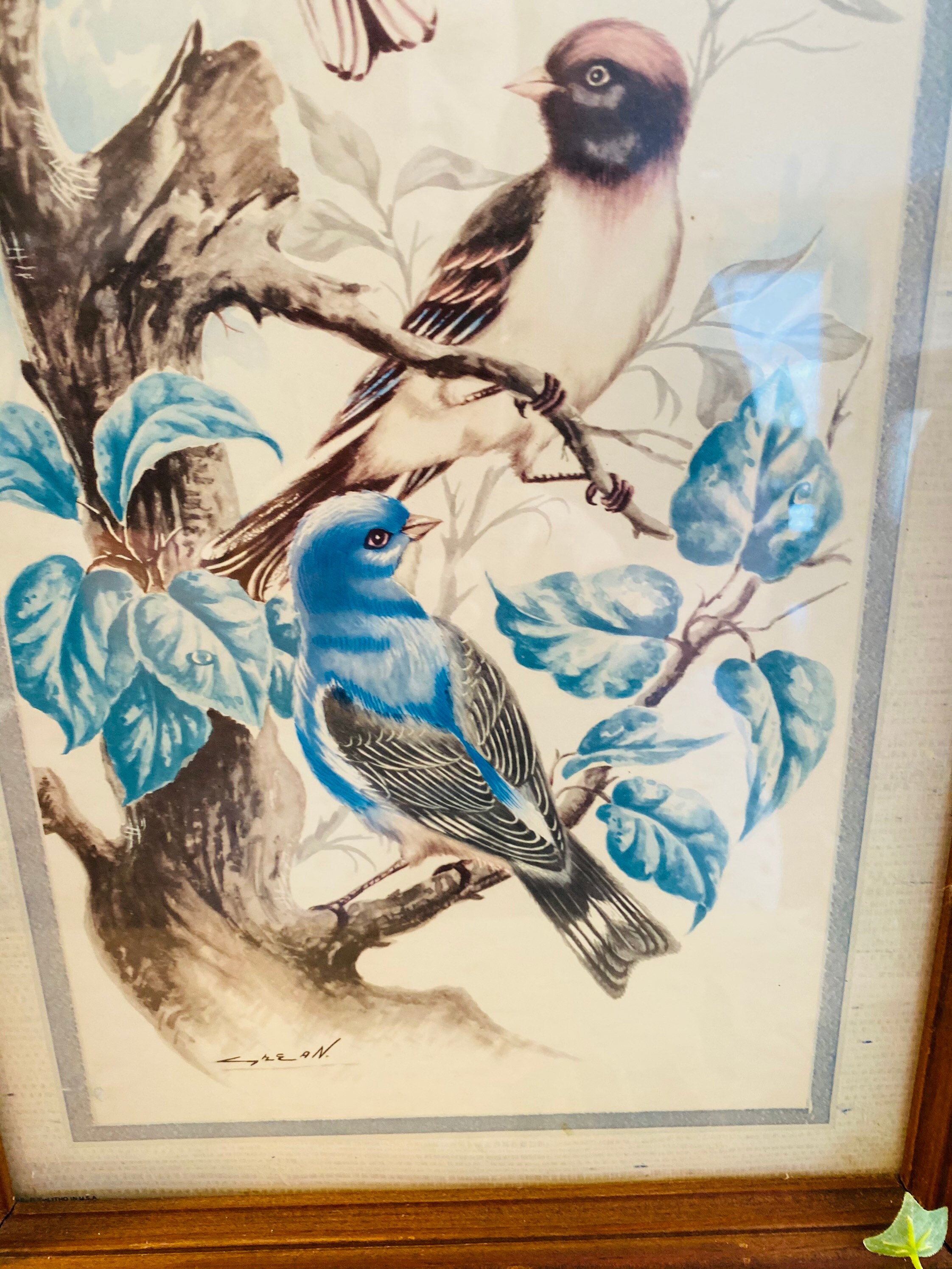 Vintage Framed Bluebird Print Bluebirds in Tree | Etsy