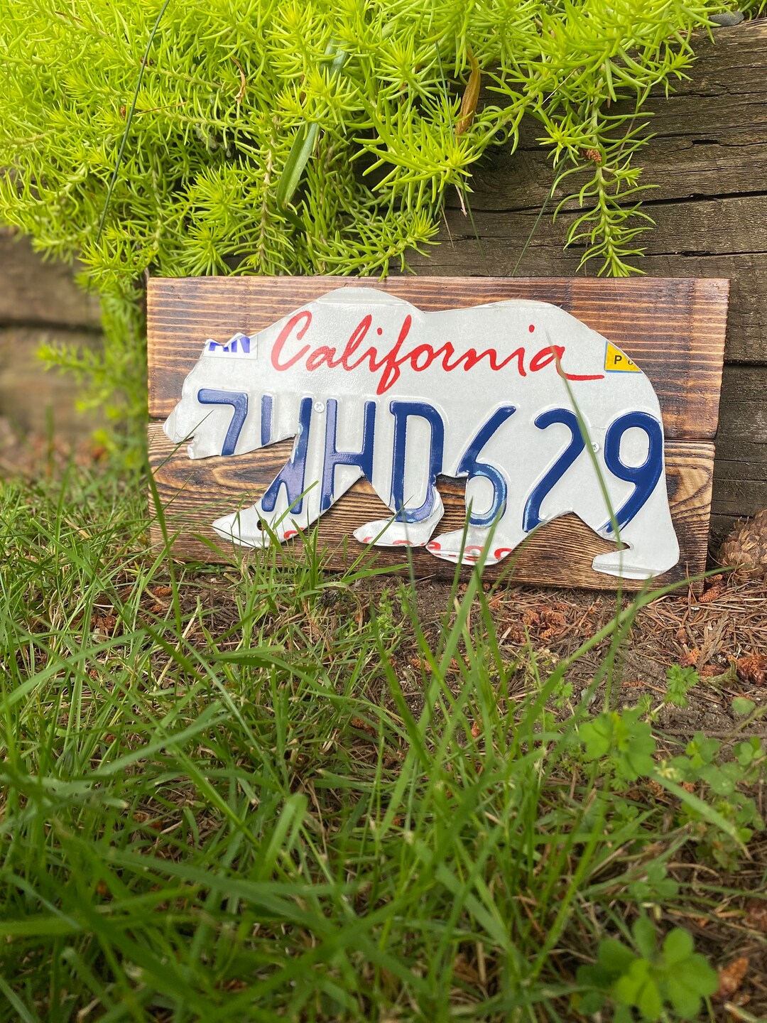 License Plate Bear, California Bear, California License Plate ...