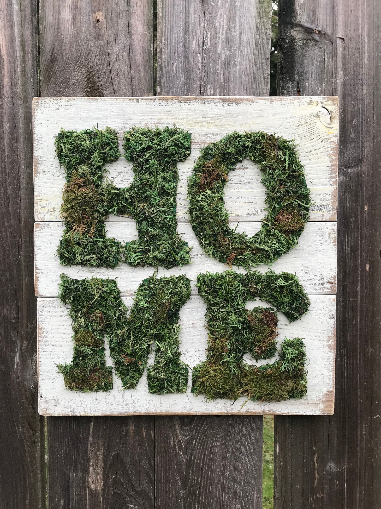 Moss Word Decor Moss Letter Art Home Word Decor Moss - Etsy